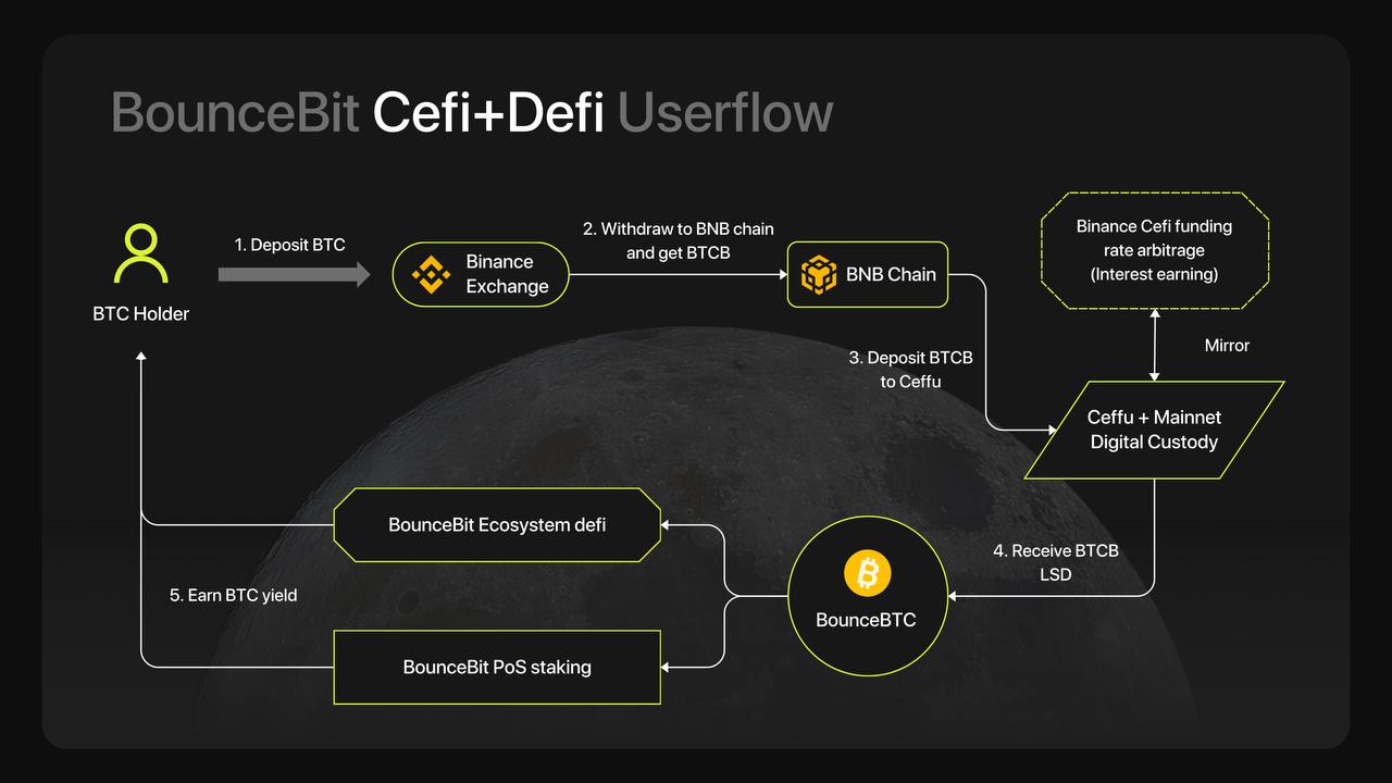 BTC 再質押賽道超新星！ CeFi+DeFi 的 BounceBit 介紹，空投積分教學 - 每日幣研