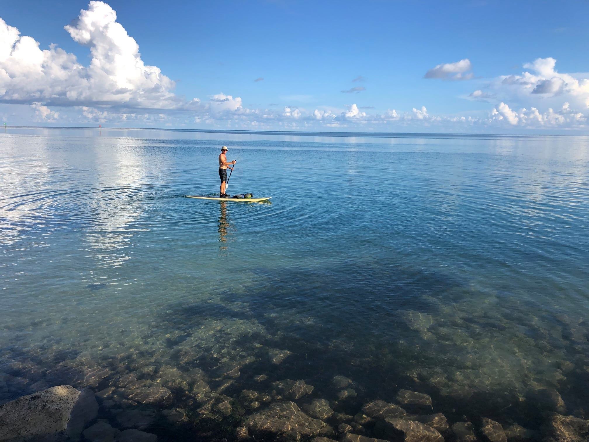 Scott Stillman on Substack: "creating true freedom takes delusional optimism—the kind that ...