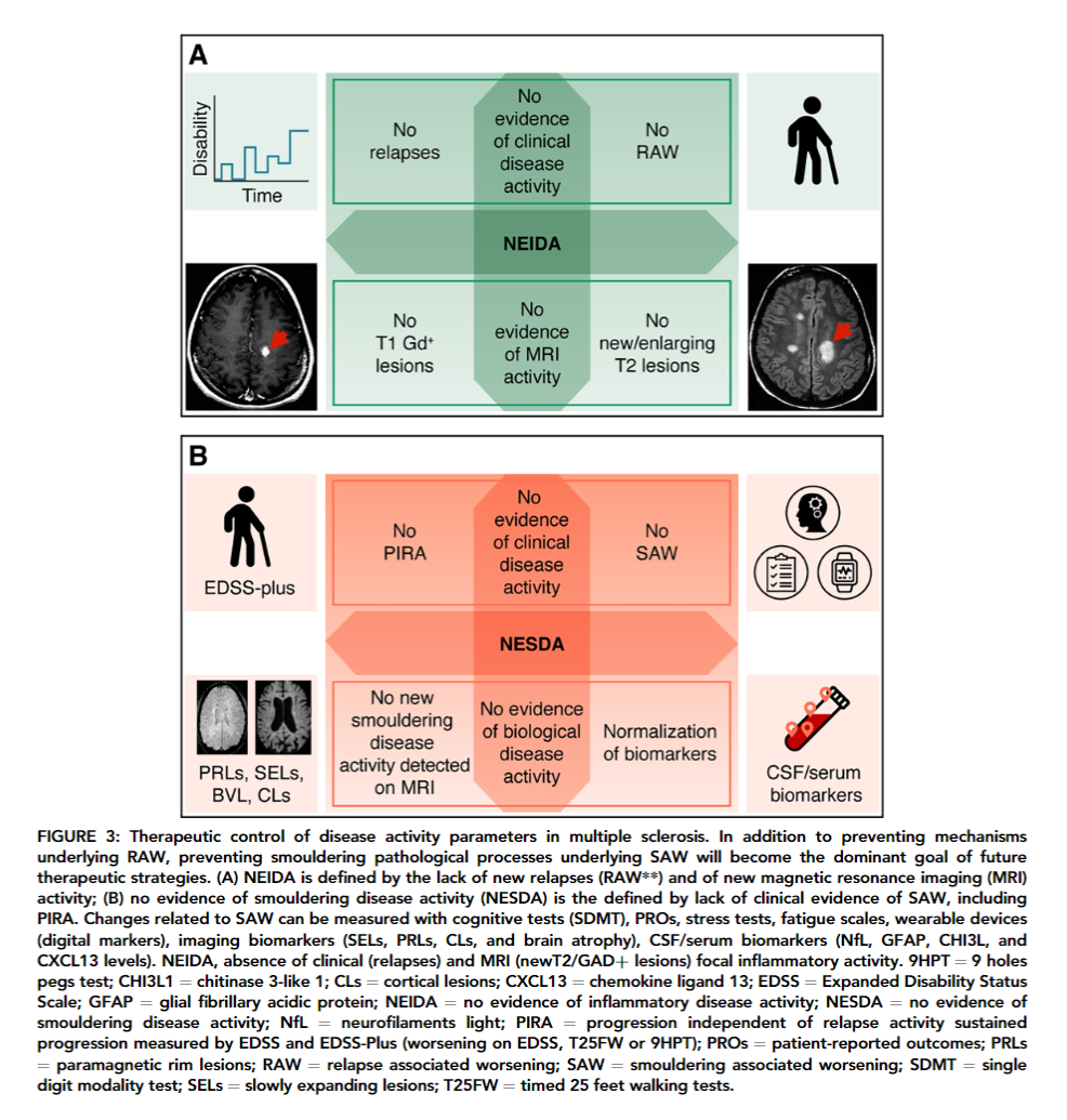 Smouldering multiple sclerosis: an international consensus