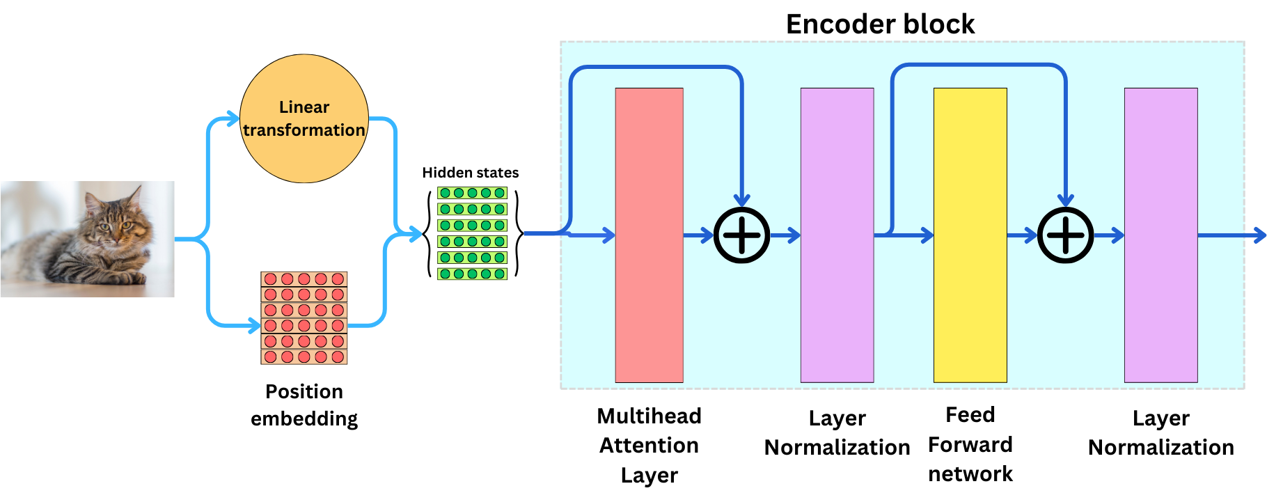 What is the Vision Transformer? - by Damien Benveniste