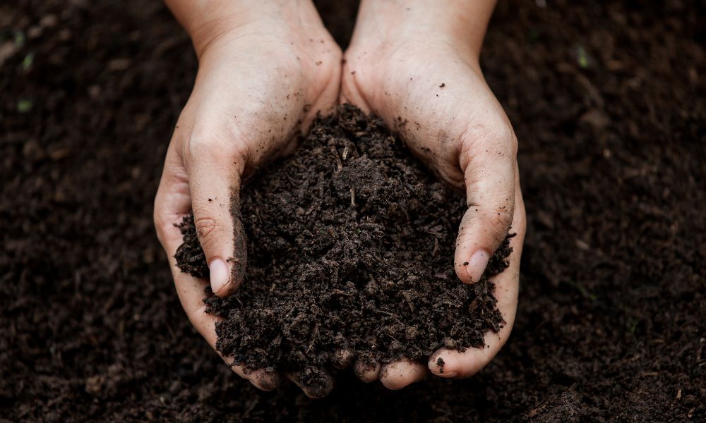 Mini Course: How to Build Healthy Soil
