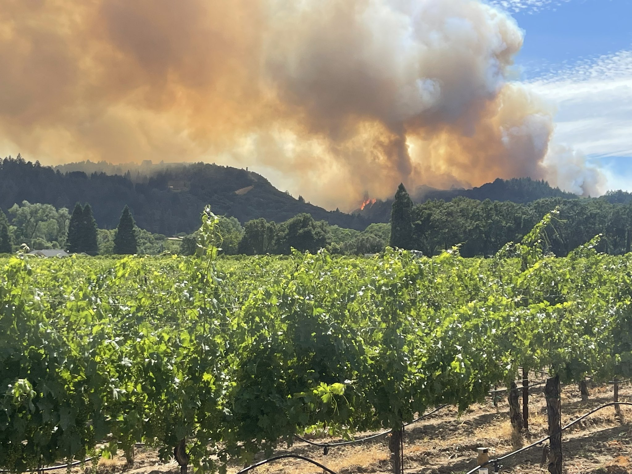 California wildfires burning bigger as season begins