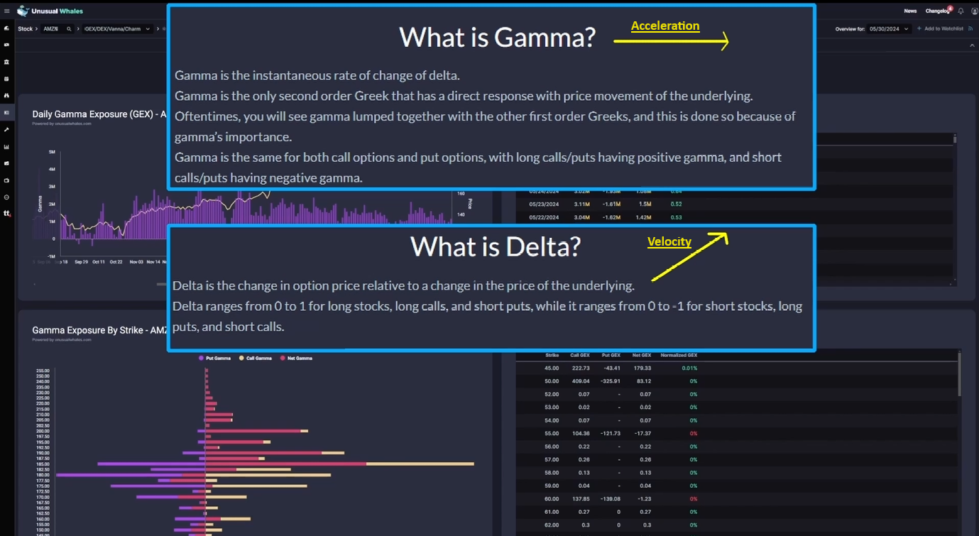 How to understand Gamma, Delta, GEX, DEX and more using Unusual Whales