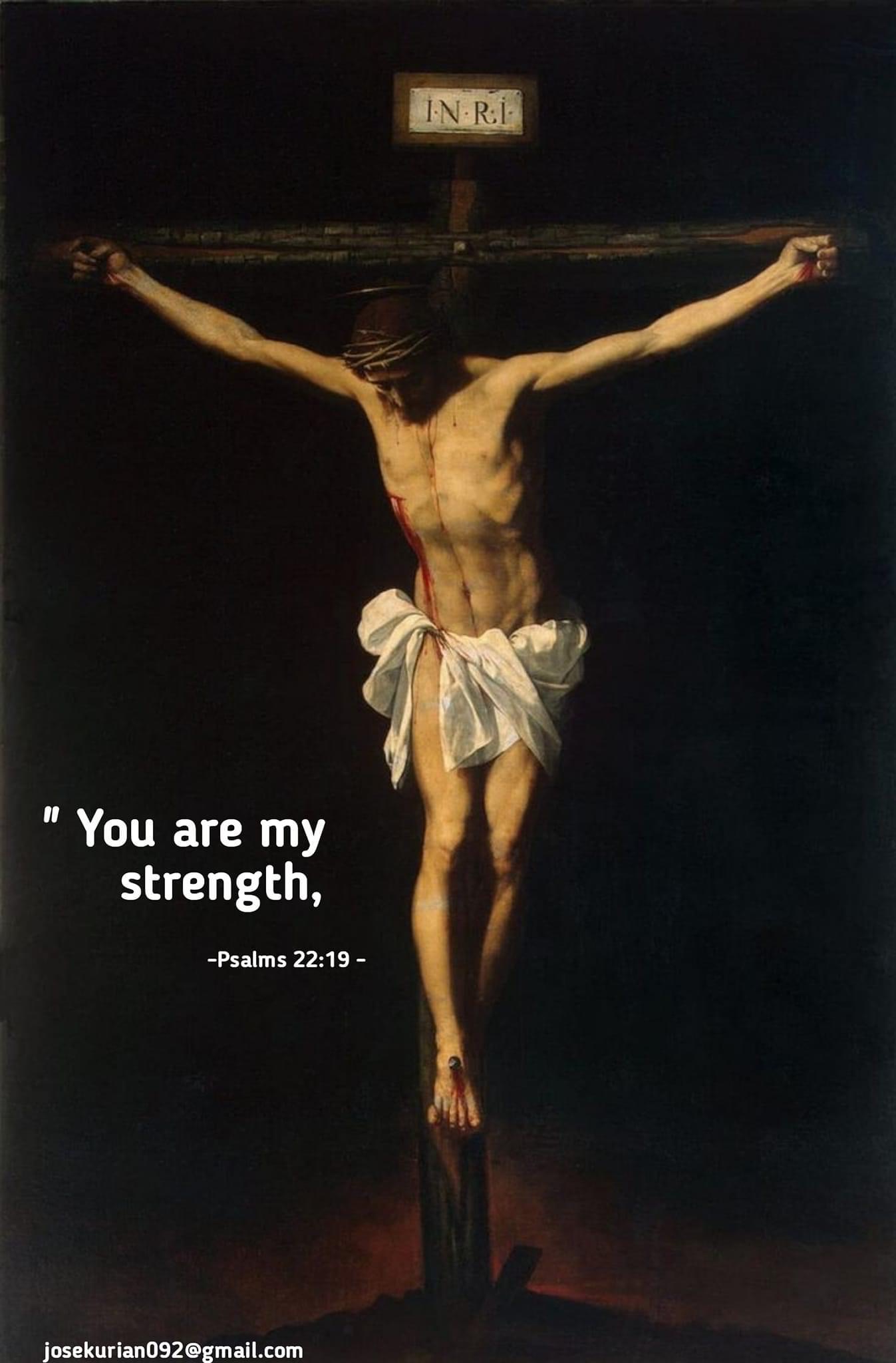 The Cry from the Cross and the Triumph of Jesus Christ (a Psalm 22 ...