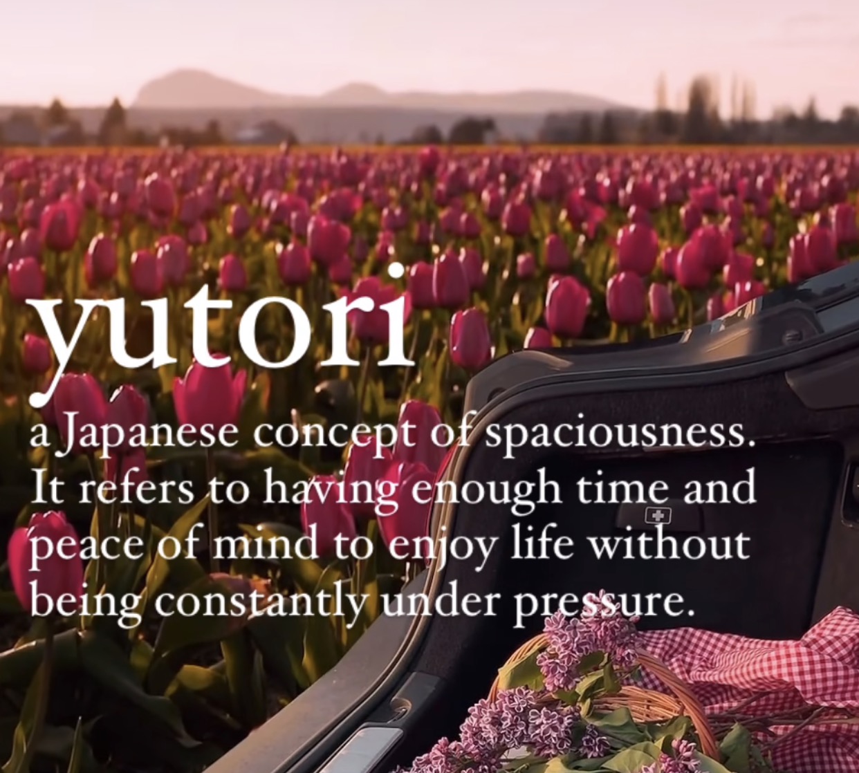 Kirsten Powers on Substack: "No English word for this of course.