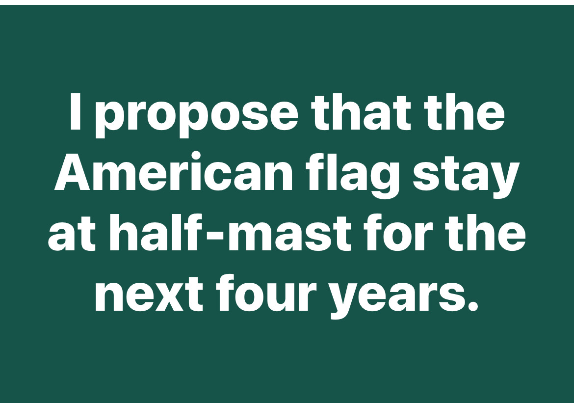 Darcy DeWitt on Substack: "😵‍💫"
