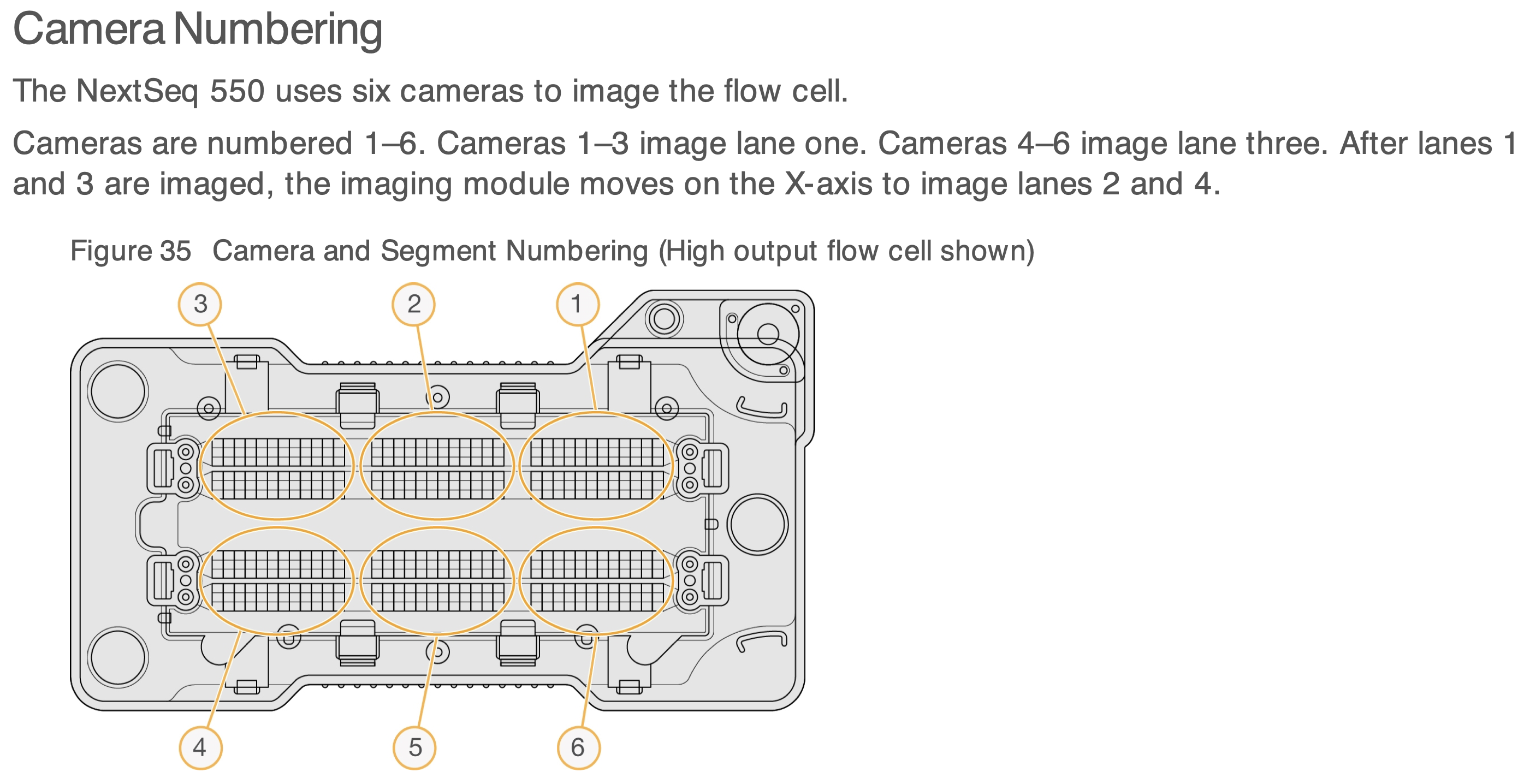 NextSeq 550 Imaging System - by Nava Whiteford