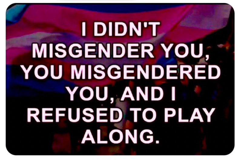 Katrina Biggs on Substack: "Rex Landy, Kiwi ultra-terf, has been taken to court, and is due to ...