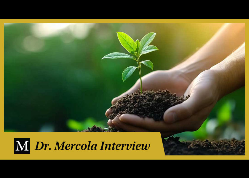 Ashley Armstrong: From Farm to Health - A Vision for Regenerative ...