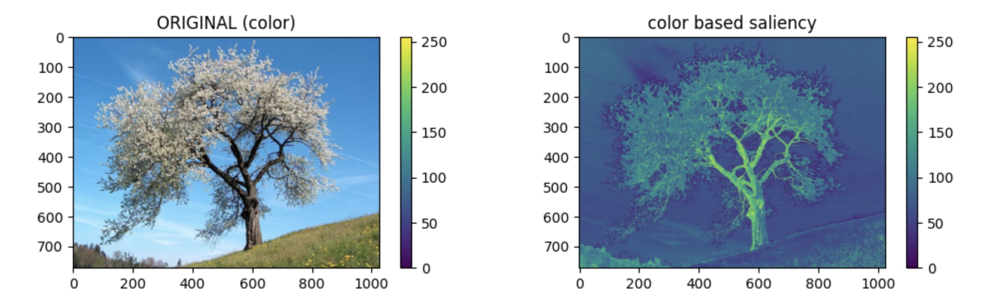 Understanding Saliency Maps - by Kala K - Worlds of Data