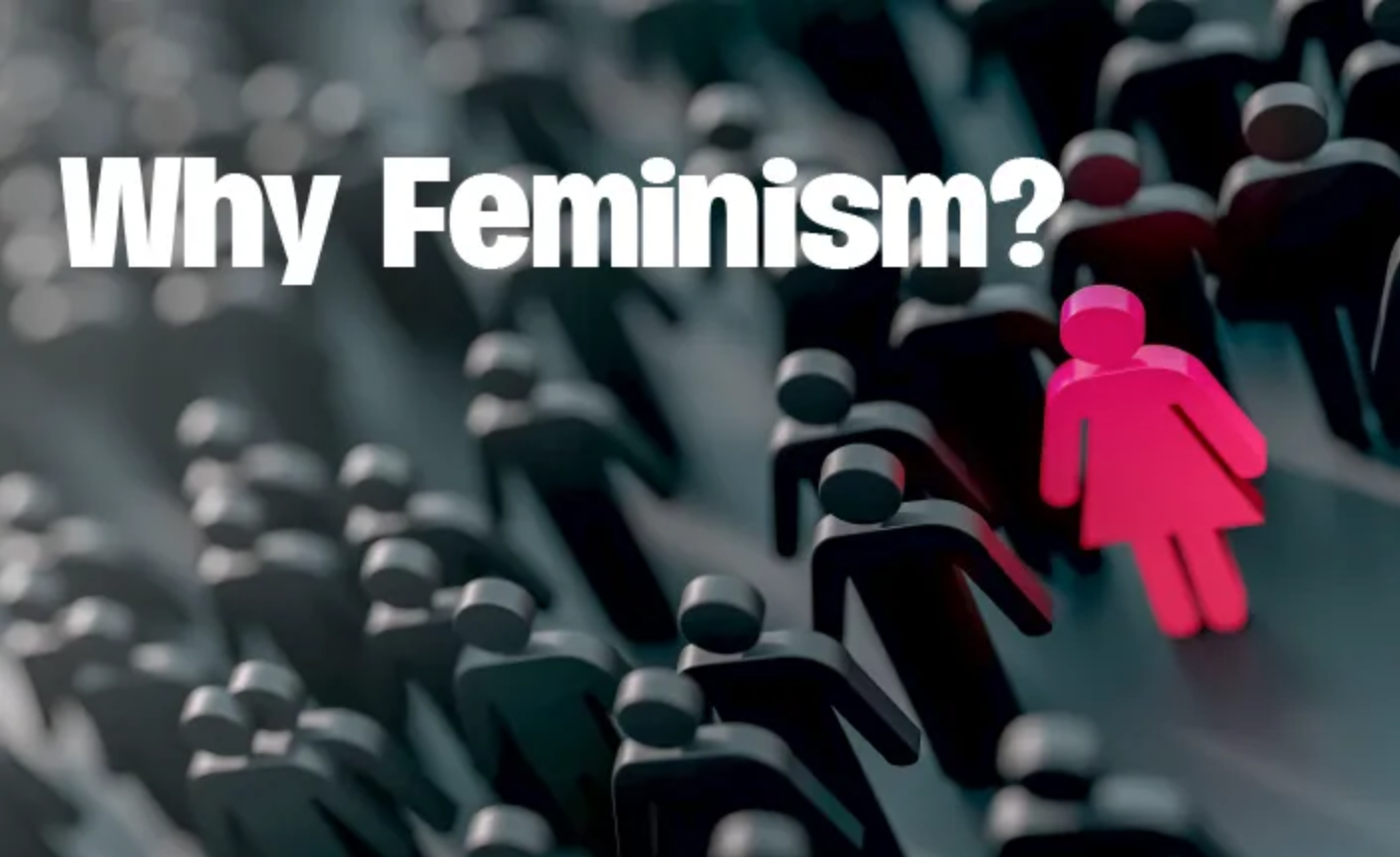 "Why Feminism?" - by Kara Dansky - The TERF Report