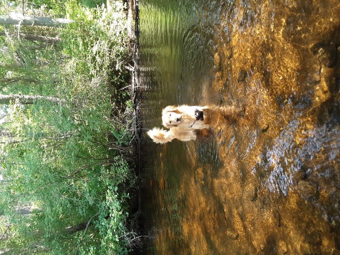 Hiking Arcadia Management Area in Rhode Island - by Sharon