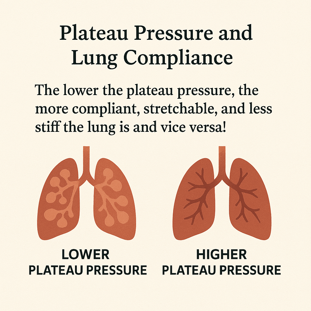 Mechanical Ventilation Made Simple: 9 Concepts Every Non-ICU Doc Should ...