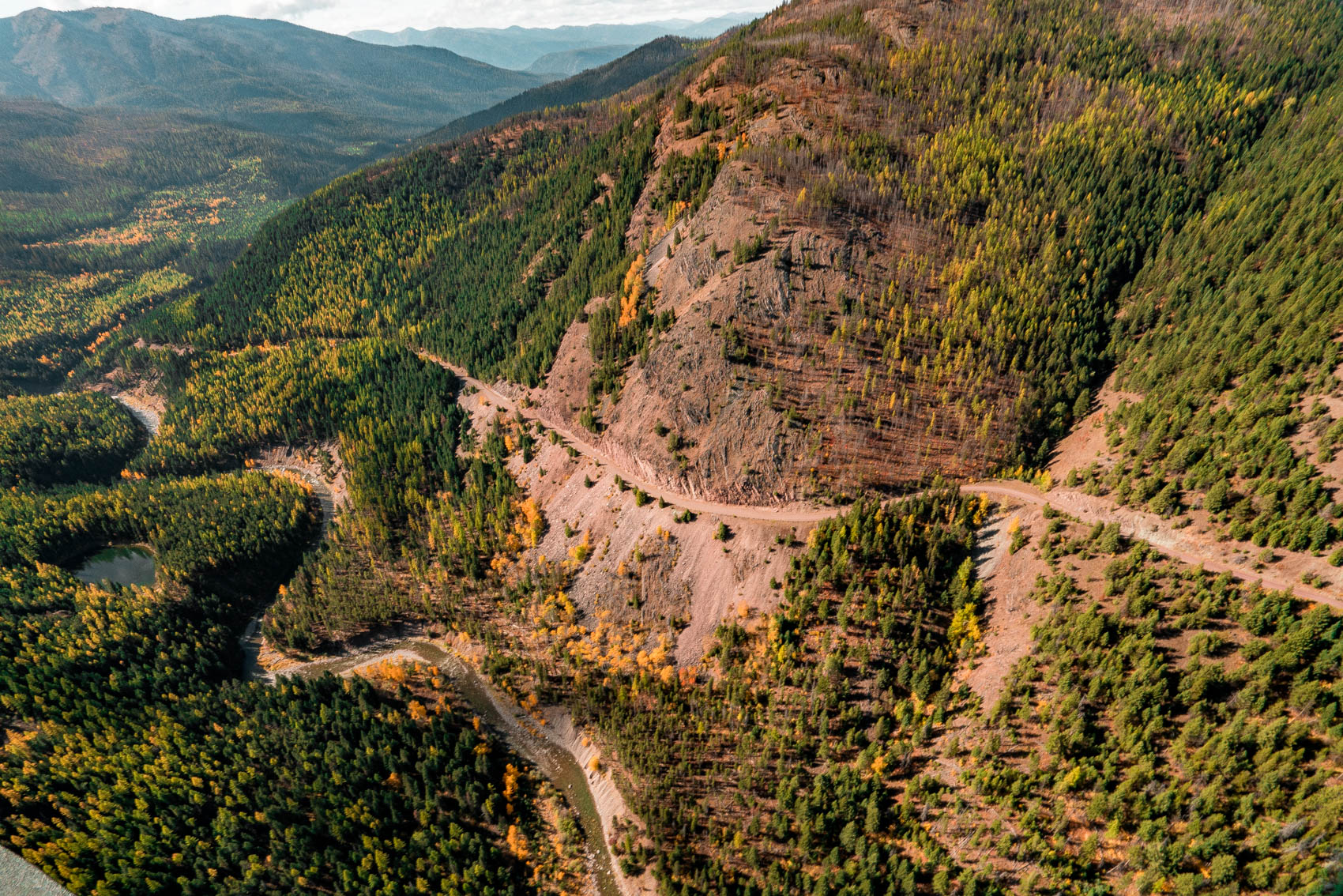 The Roadless Rule Explained: How the Last Unbroken Forests Could Be ...