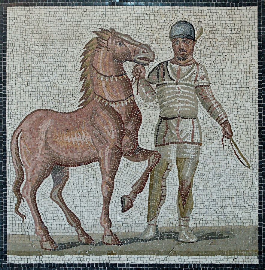 Chariot Racing in the Ancient World - by Sean