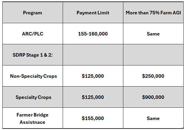 What is my 2026 Payment Limits - by Paul Neiffer