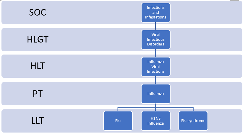 Demystifying MedDRA: Understanding the Language of Adverse Event Reporting