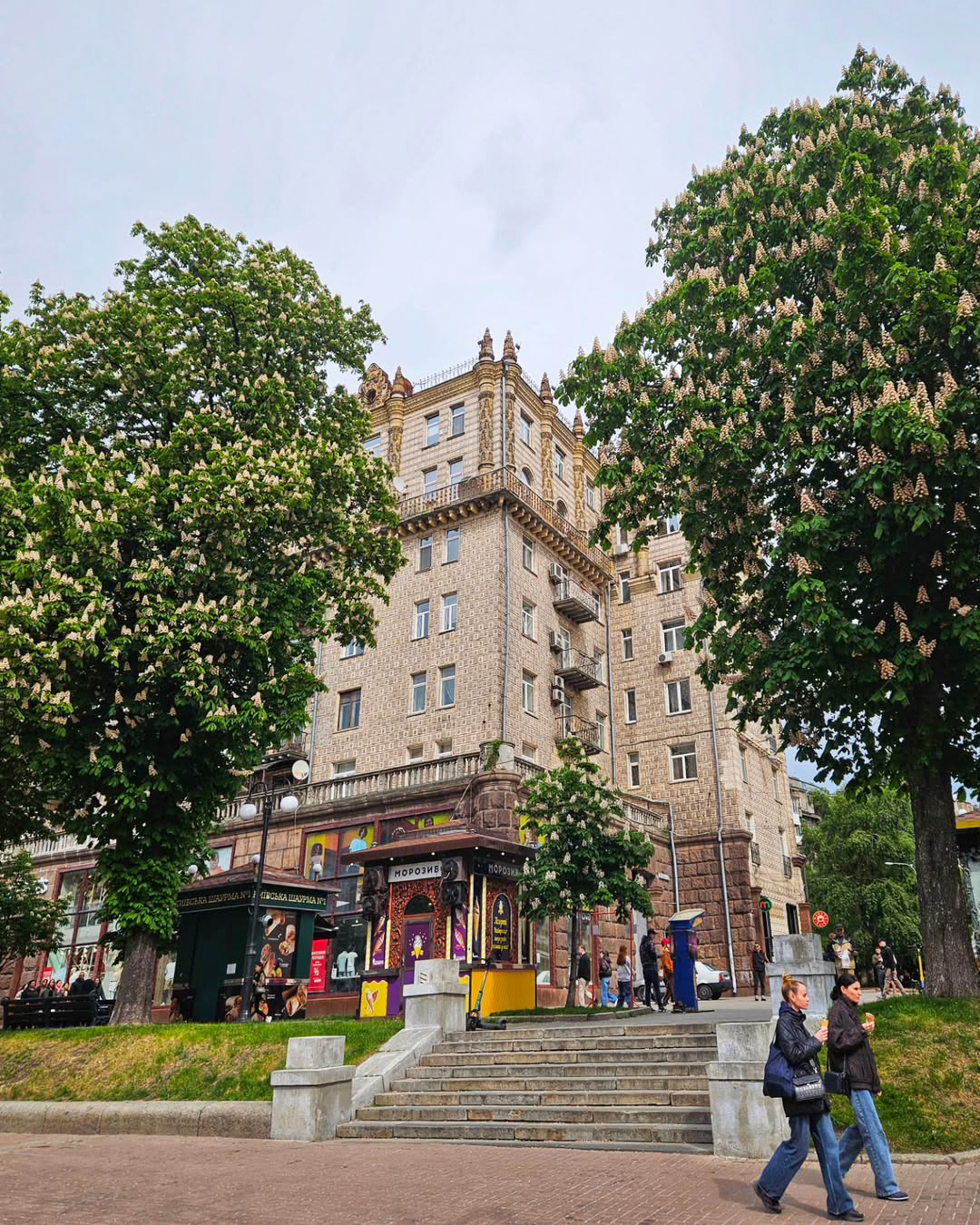 How chestnut trees became a symbol of Kyiv