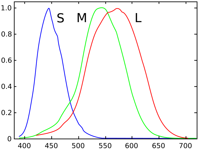 The Magic of RGB: How Digital Colors Come to Life
