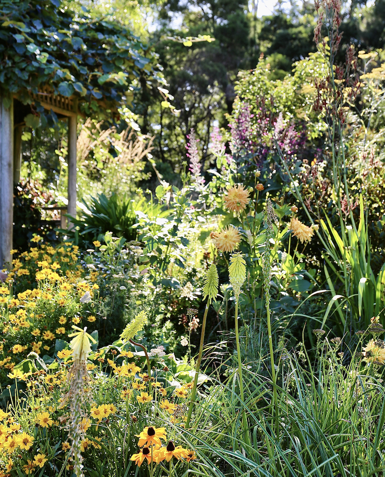 The Garden Gadabout - The Garden at Moorfield
