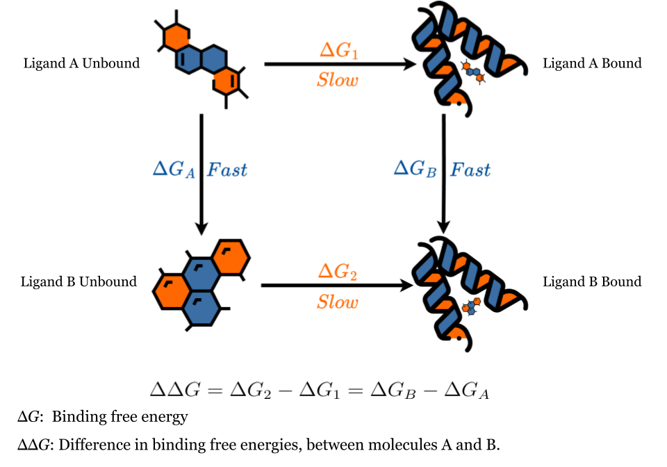 No-Code Relative Binding Free Energy (RBFE) Calculations with Prithvi