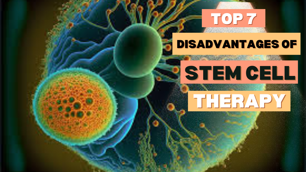 Top 7 Disadvantages of Stem Cell Therapy & Why It’s Controversial