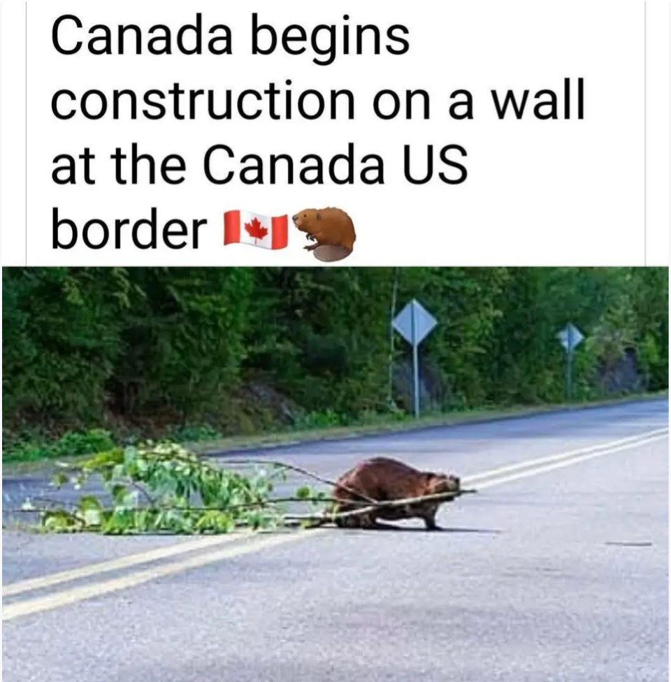 Canada Resists on Substack: