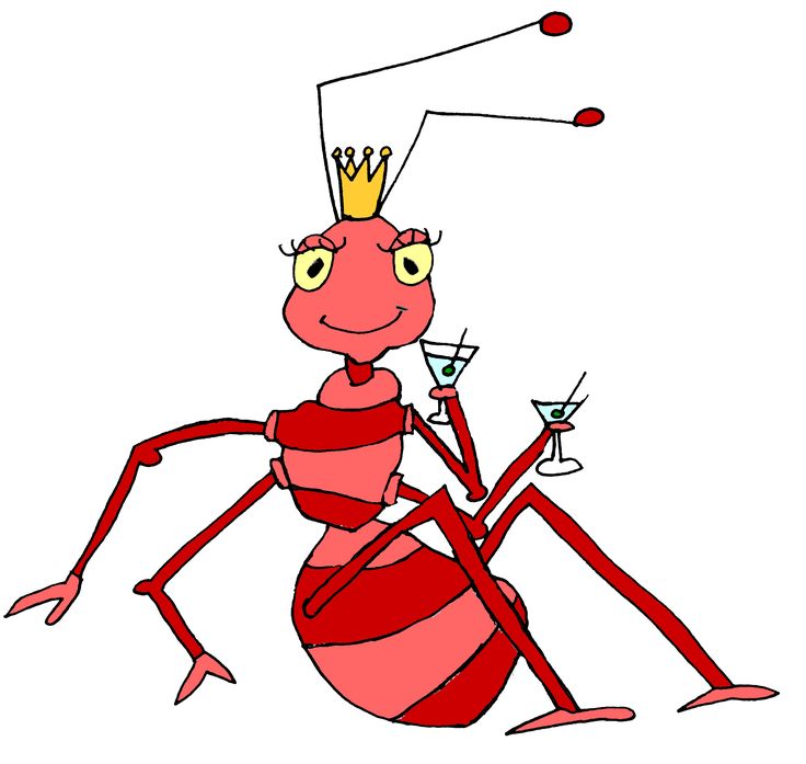 How Communities Emerge - Enough Already with David Spinks