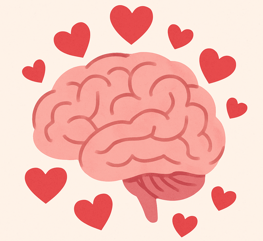 The Neuroscience of Falling in Love (And why your brain feels "high" in ...