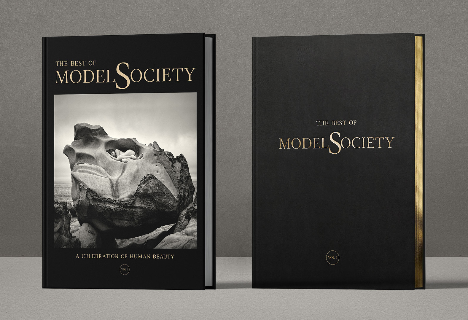 Best of Model Society - by David Bollt - Model Society