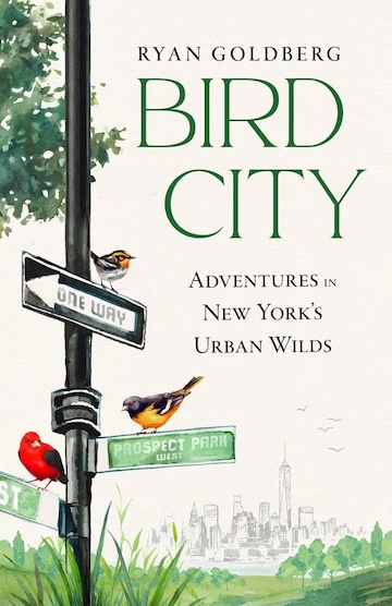 15 Books About Cities, Housing, Economic Crisis, and Resilience That ...