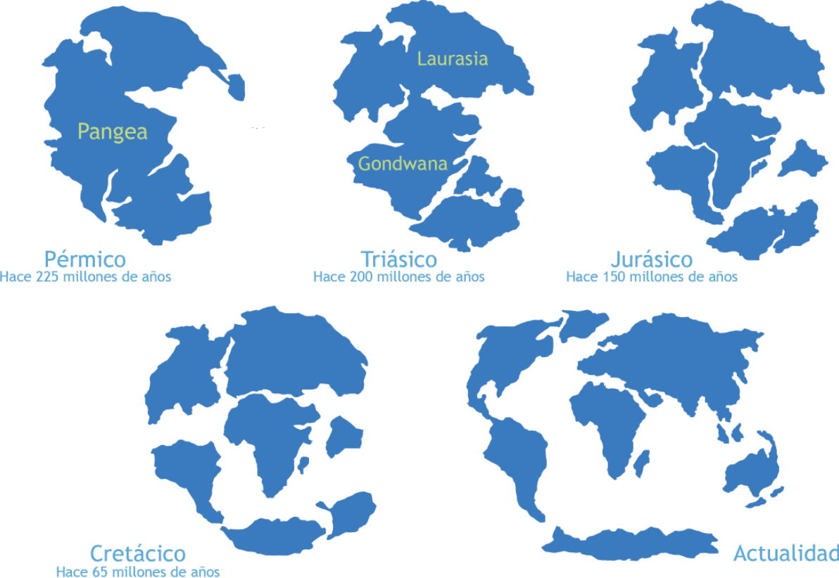Las Pangeas que hubo y las Pangeas que vendrán