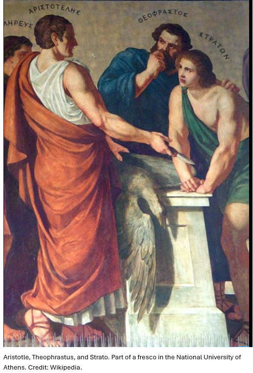 Greeks Vs Jews - by David Roman - A History of Mankind