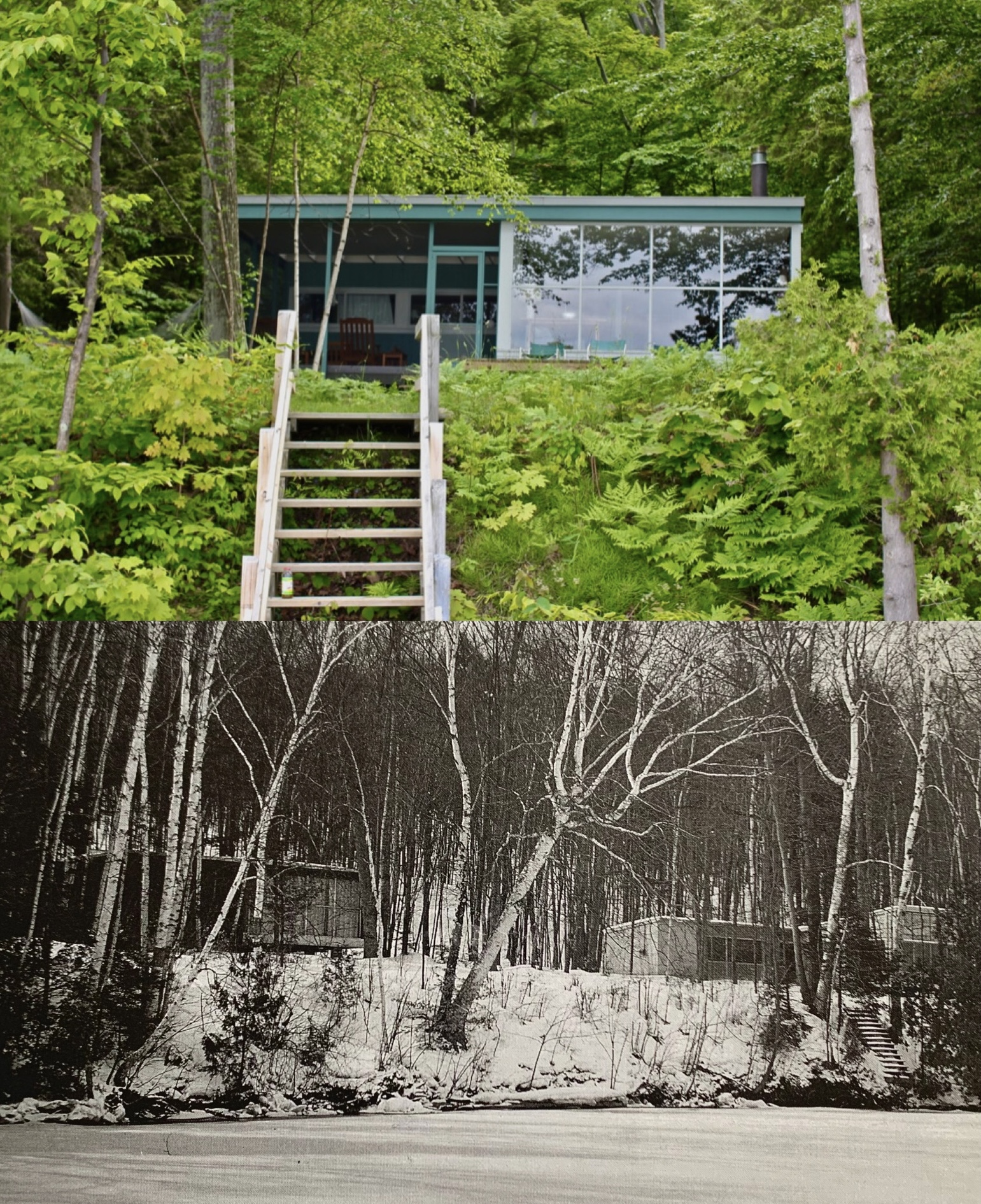 The Family Homes of Harry Weese - by Rachel Freundt