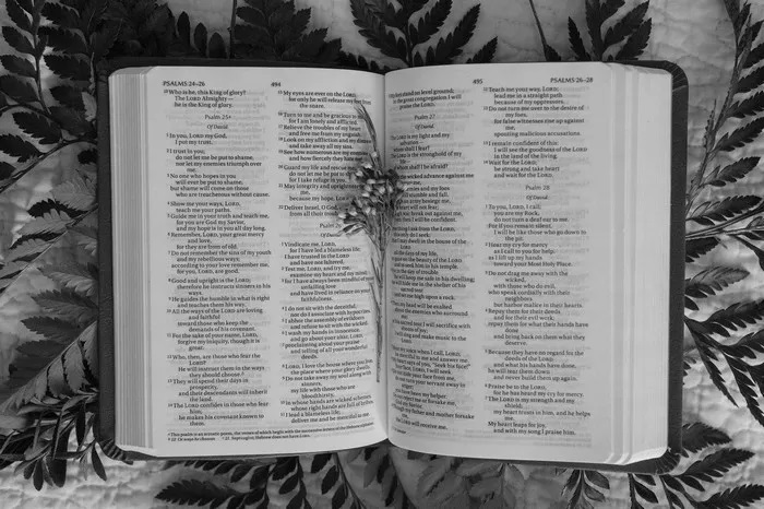 Who Was Moses’ Father and Mother? - biblestudy