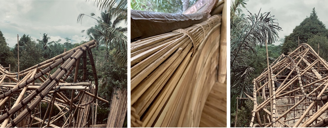 #120 Estructuras orgánicas de bambú - by Igma Pacheco Rivas