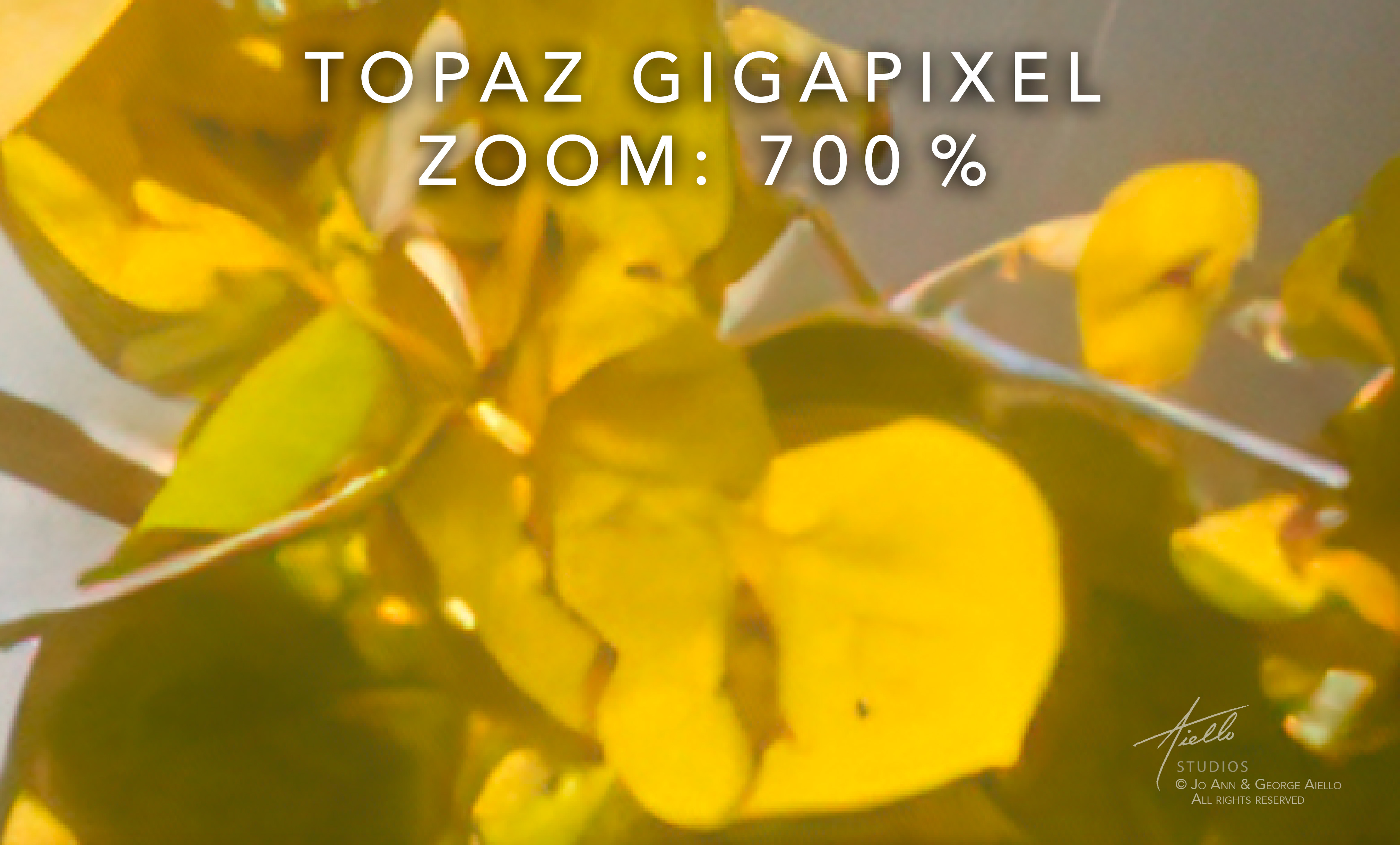 Topaz Photo AI vs. Gigapixel: Which to Use and When