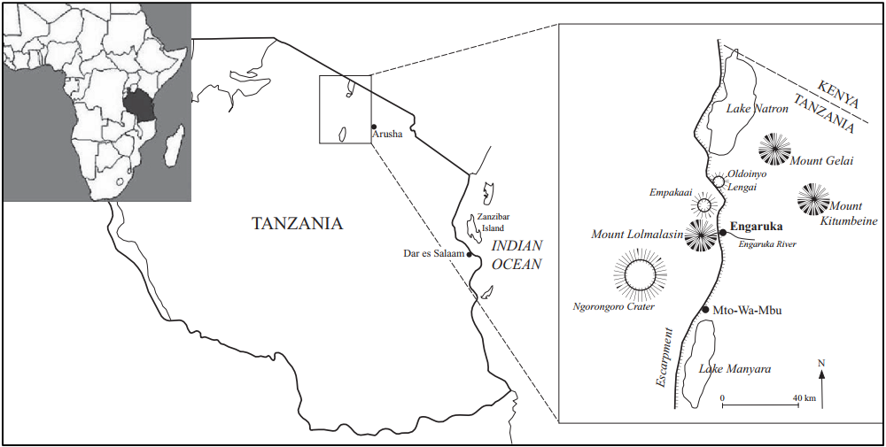 Who Built Engaruka? (ca. 1400-1800): Stone Architecture and Historical ...
