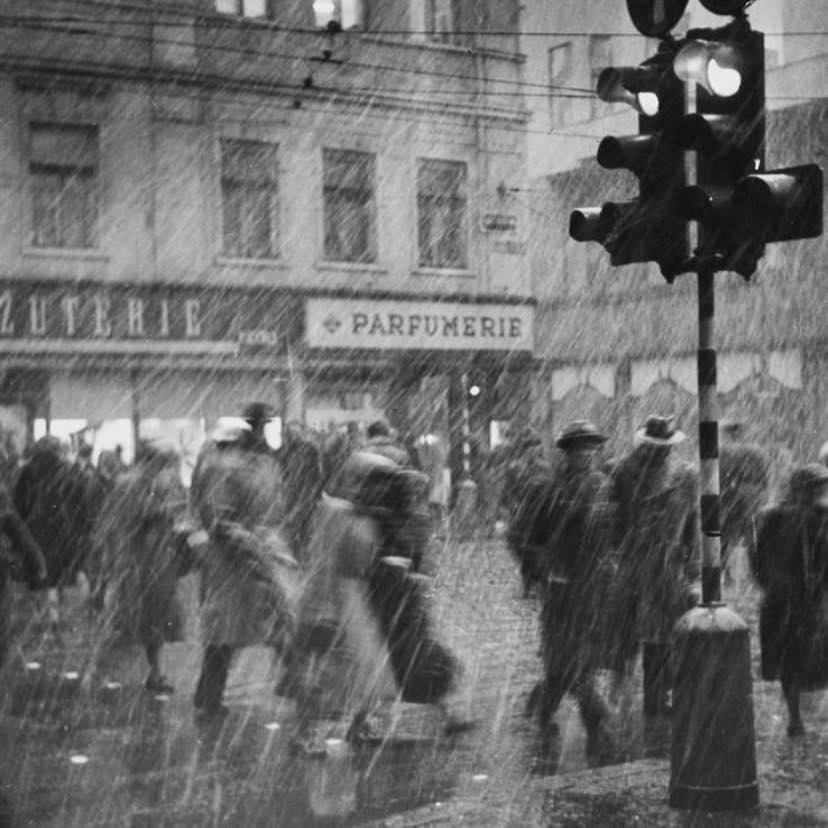 Poetic Outlaws on Substack: "August rain: the best of the summer gone, and the new fall not yet ...