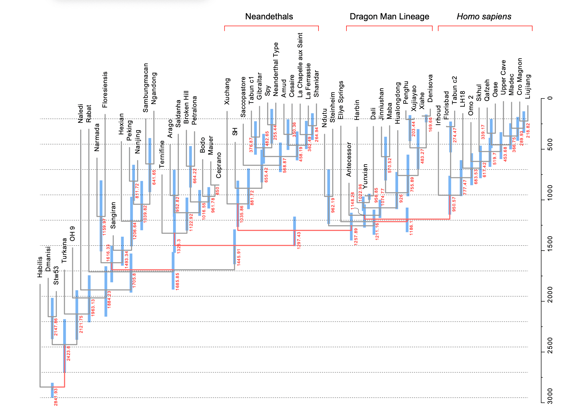 Julurens: a new cousin for Denisovans and Neanderthals