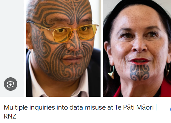 NEW ZEALAND PARLIAMENT'S MĀORI SEATS - by John McLean