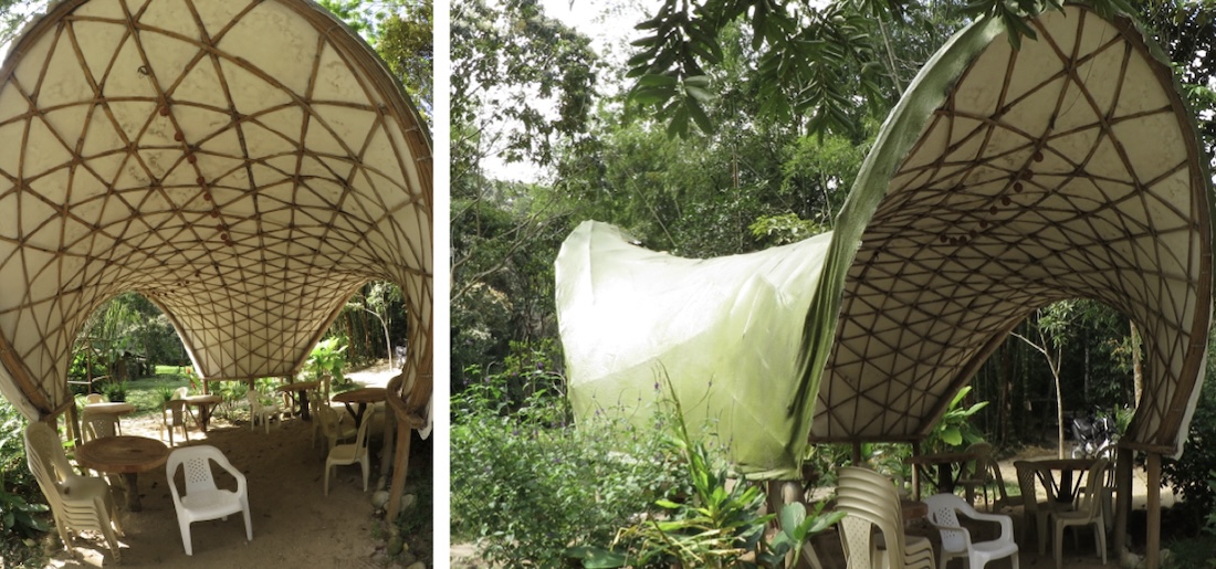 #120 Estructuras orgánicas de bambú - by Igma Pacheco Rivas