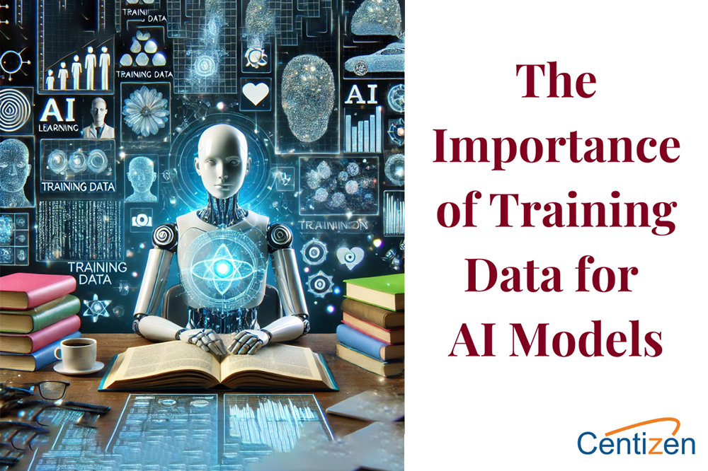 The Importance of Training Data for AI Models