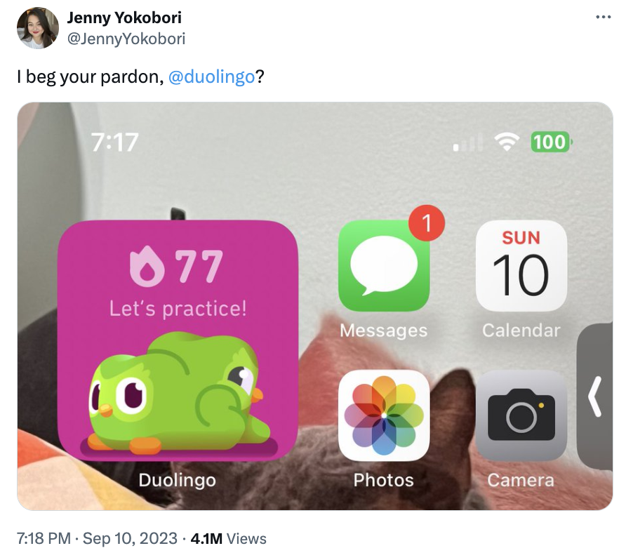 Yes, Duolingo's Viral TikToks Lead to New Learners