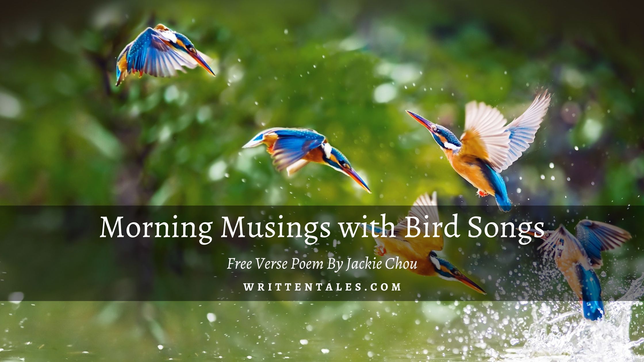 Morning Musings with Bird Songs Poem by Jackie Chou - Reflecting on ...
