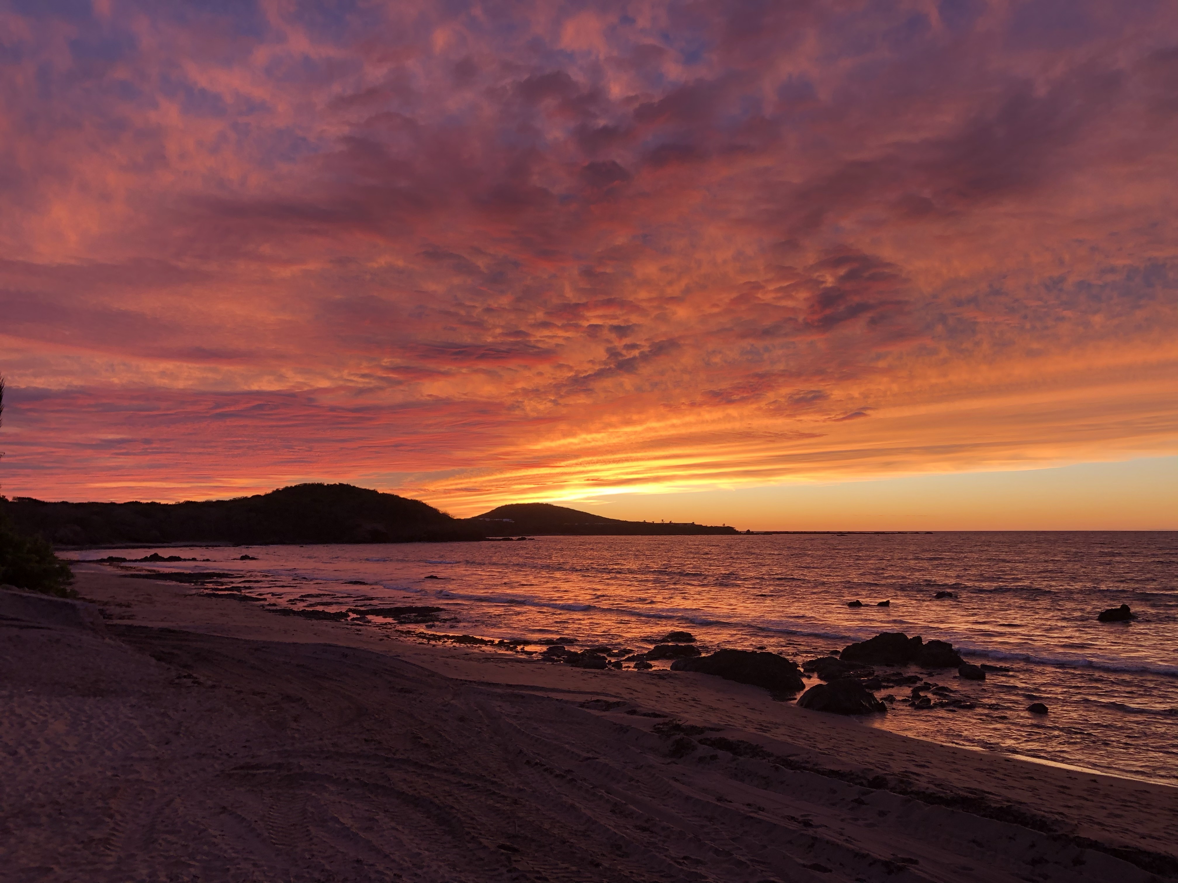 The 'Daily Delight' Practice (+ 100 Examples)