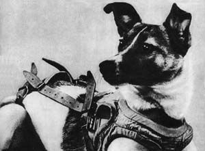 In 1957, the Soviet Union launched the spacecraft Sputnik 2, carrying ...