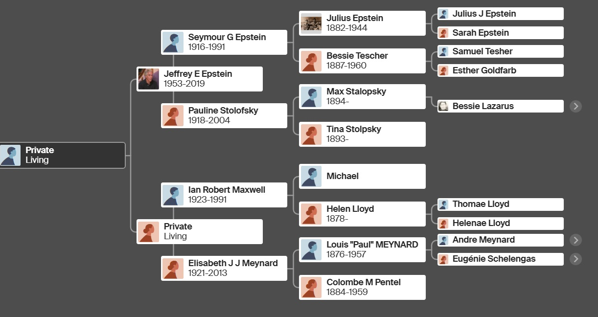 The Epstein-Maxwell Family Saga - by Ellie Leonard