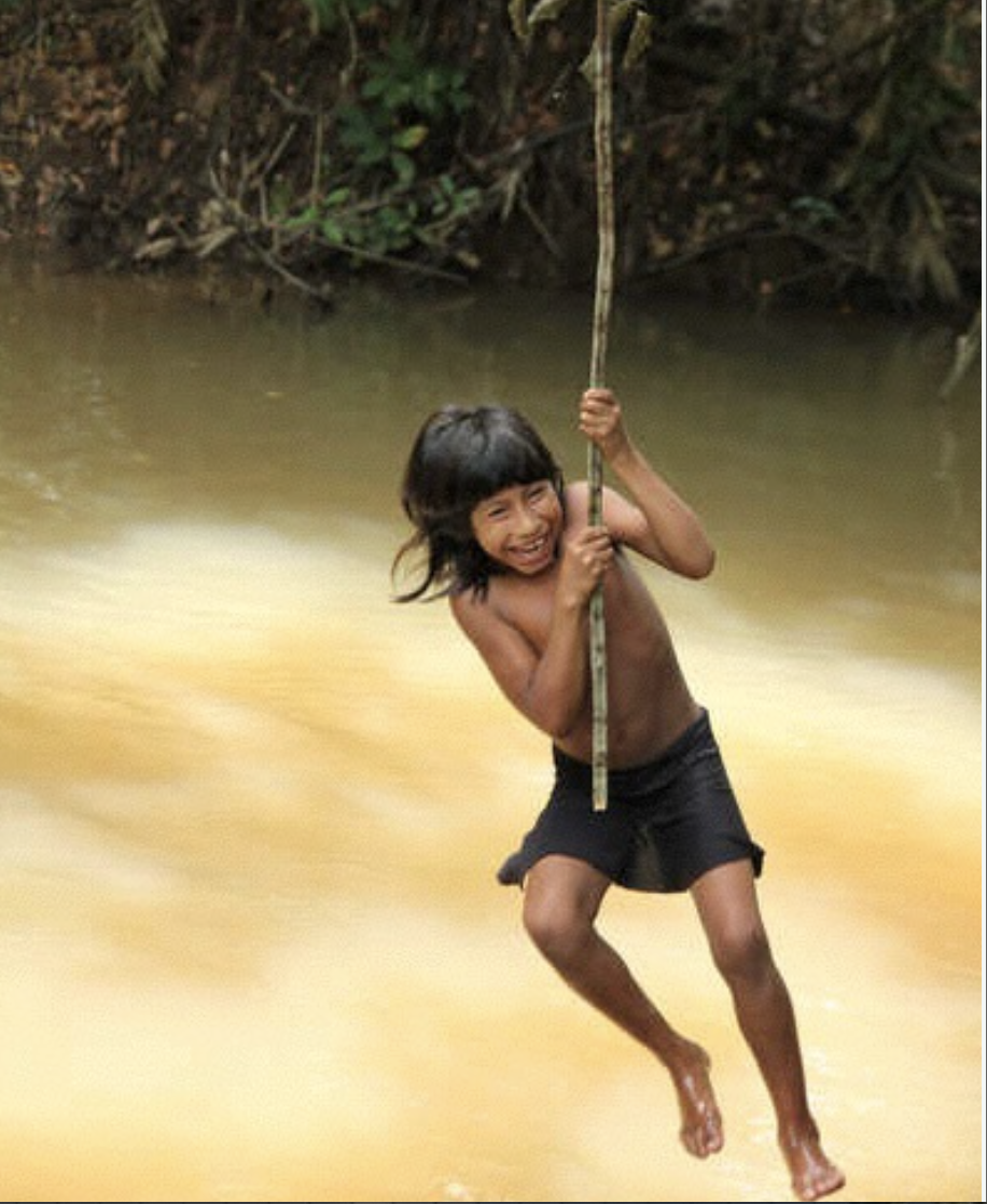 #3. Why Do We Play? - by Peter Gray - Play Makes Us Human