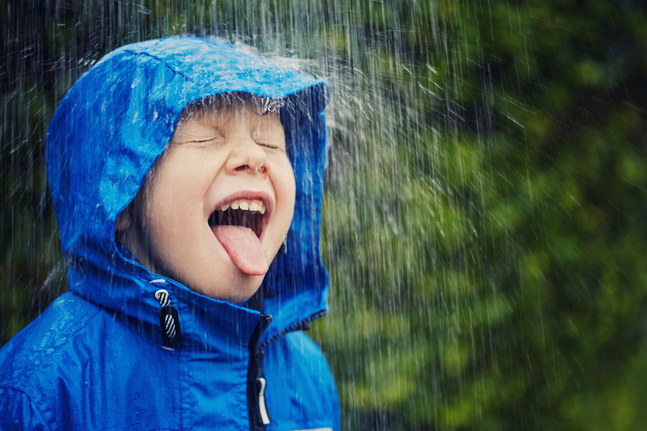 What is Sentience? - by Peter Sjöstedt-Hughes